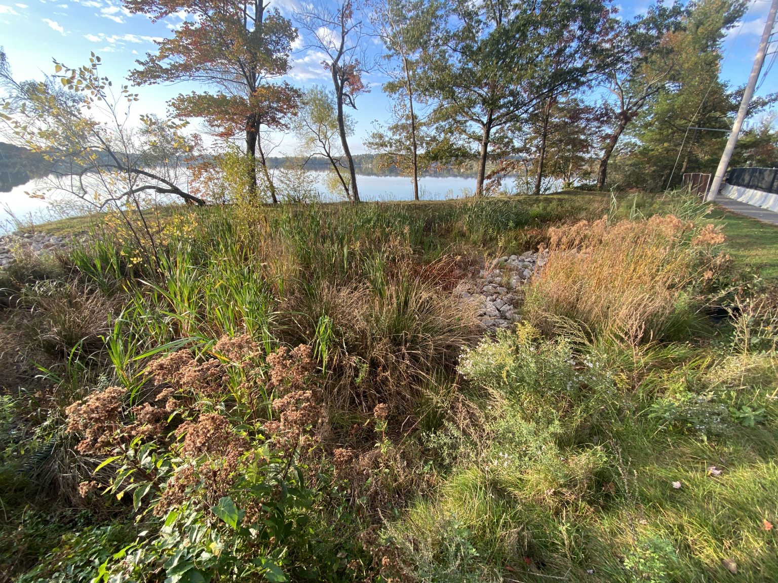 Bioretention Areas Improve Water Quality - Friends of Lake Quannapowitt ...