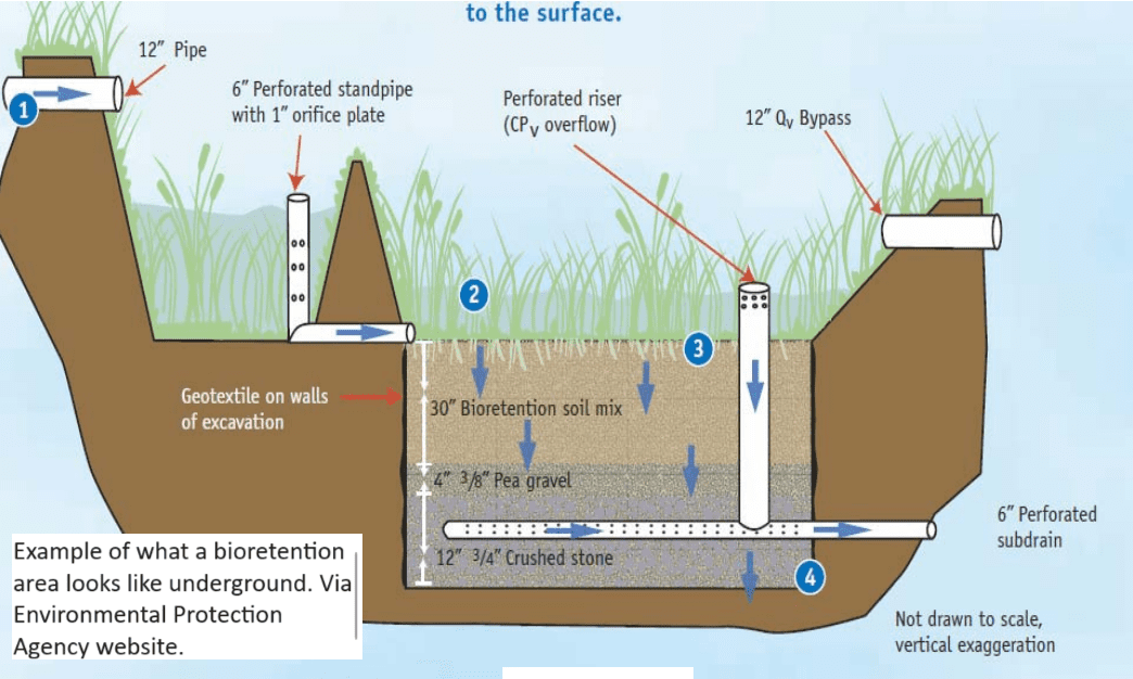 Bioretention Areas Improve Water Quality - Friends of Lake Quannapowitt ...