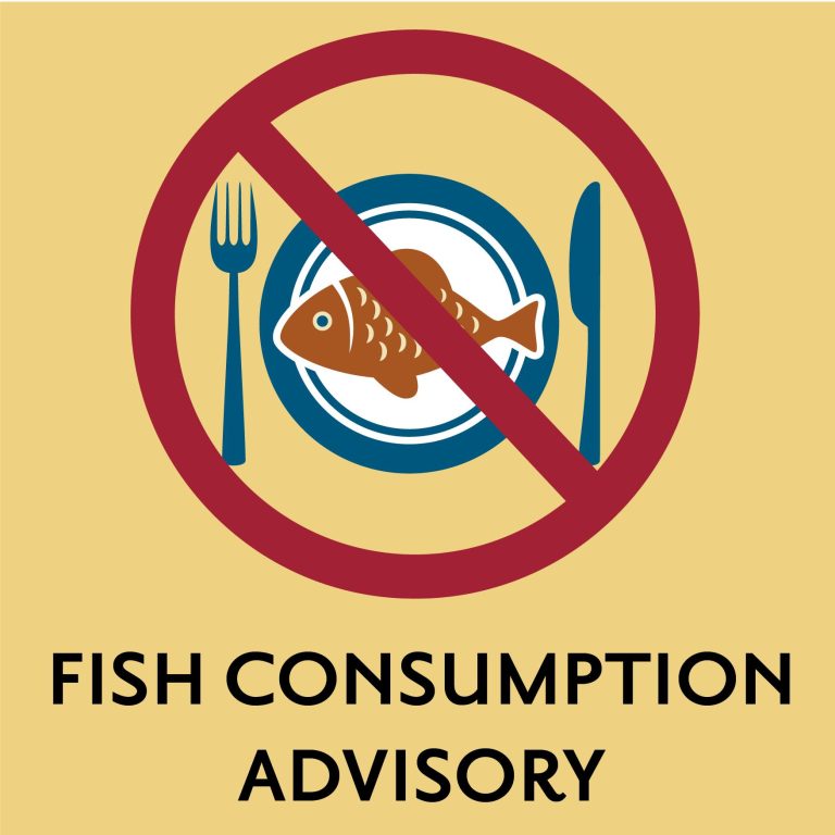 Fish Consumption Advisory for Lake Quannapowitt - Friends of Lake ...
